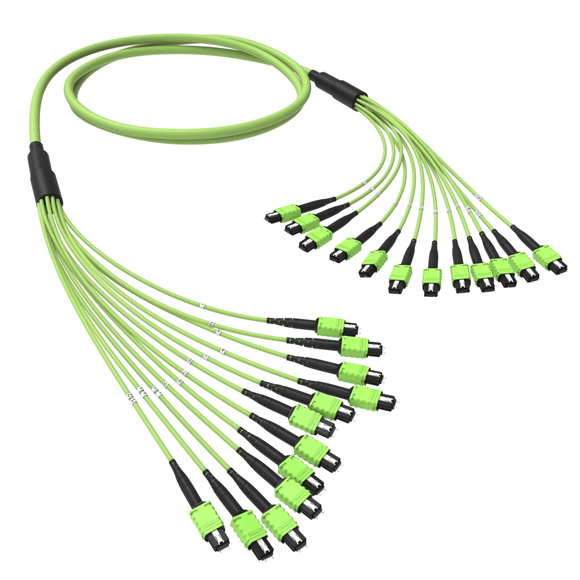 Оптическая магистральная сборка 144 ОВ 50/125 OM5, 12xMTP PRO(12)m ...